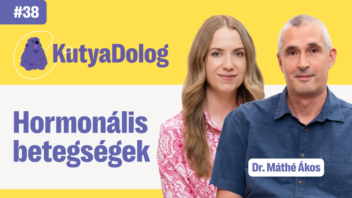 Cukorbetegség, Cushing és Addison kór kutyáknál: Milyen tünetekre ...